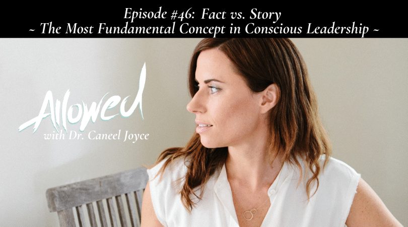 Fact vs. Story - Fundamental to Communication